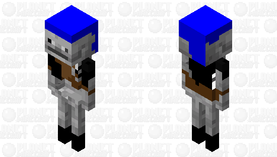 Pirate Skeleton Minecraft Mob Skin