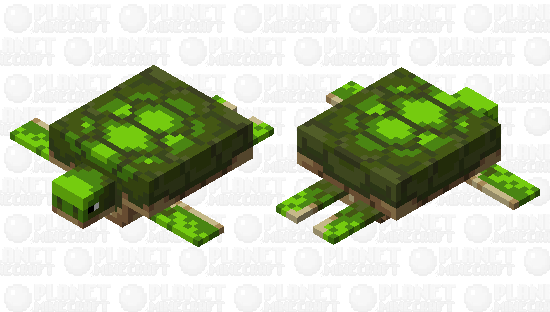 Block Palette Turtle Minecraft Mob Skin