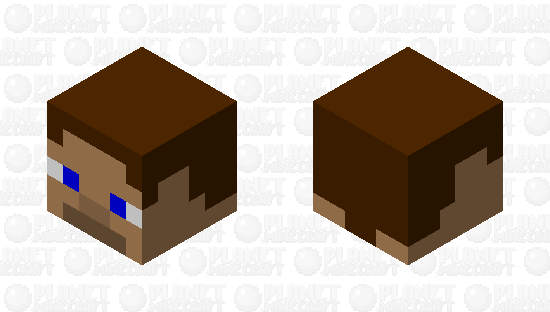 Steve's head Minecraft Mob Skin