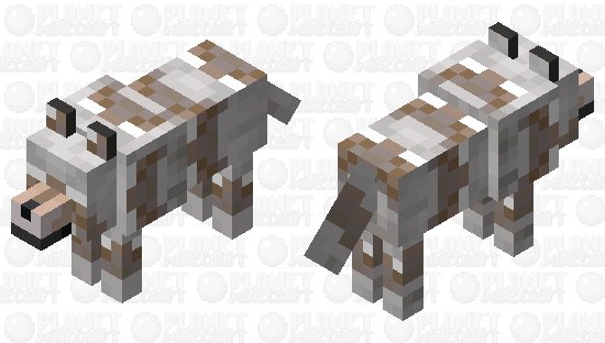 The Watcher Minecraft Mob Skin