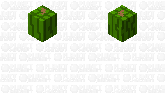 Watermelon Minecraft Mob Skin