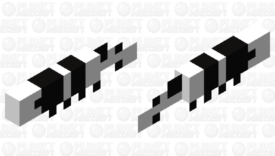 Panda Shrimp (one of the most beautiful shrimps in the world) Minecraft ...