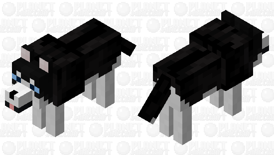 Siberian Husky Minecraft Mob Skin