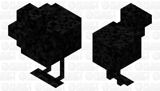 Kadaknath black chicken Minecraft Mob Skin