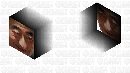 Floating Face of Shinzo Abe Minecraft Mob Skin