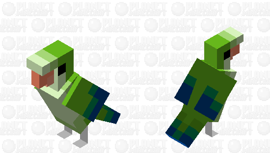 Monk Parakeet(Quaker parakeet,몽크앵무) Minecraft Mob Skin
