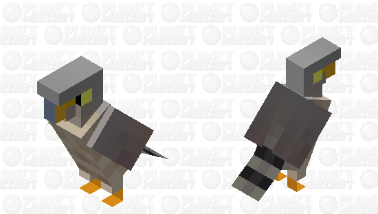 Gavião-carijó (Rupornis magnirostris) Minecraft Mob Skin