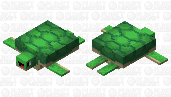 cute turtle Minecraft Mob Skin