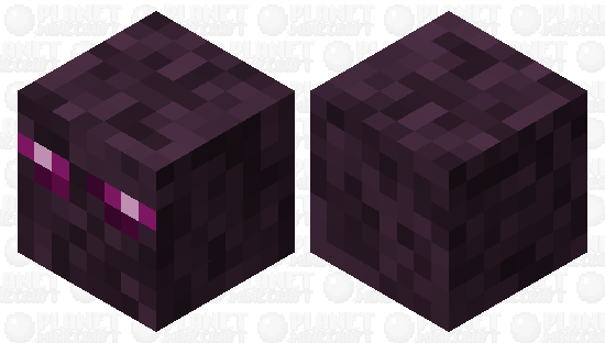 Ender Cube Minecraft Mob Skin