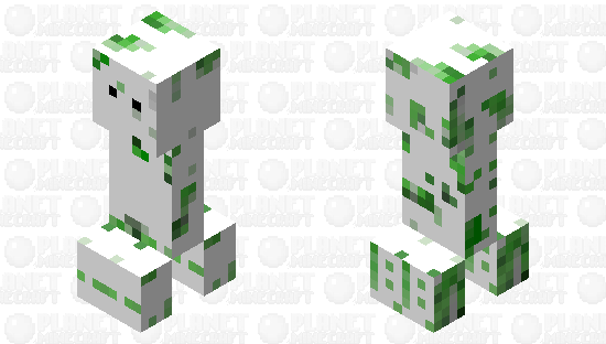 when you killed a creeper right before it exploded: Minecraft Mob Skin