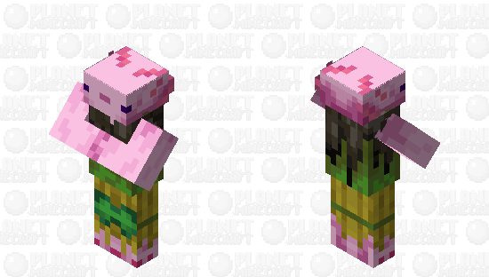 Axo-illager Minecraft Mob Skin