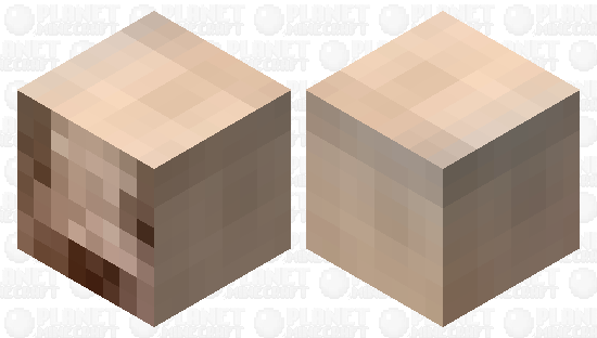 Pedro Minecraft Mob Skin