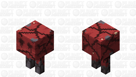 He saw enough | Strider Minecraft Mob Skin