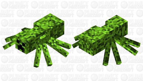 spider + creeper Minecraft Mob Skin