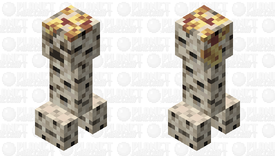 Birch Forest Creeper Minecraft Mob Skin