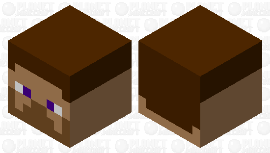 Steve head Minecraft Mob Skin