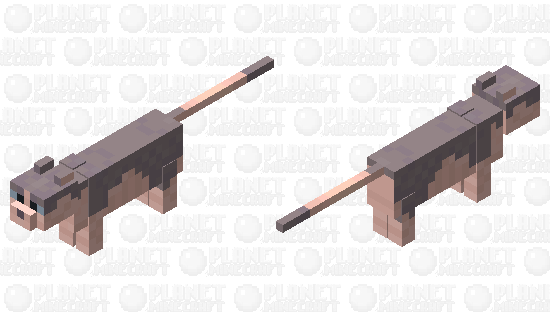 Sphynx Cat Minecraft Mob Skin