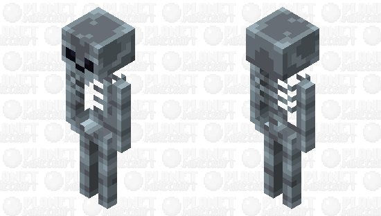classic typical dungeon skeleton Minecraft Mob Skin
