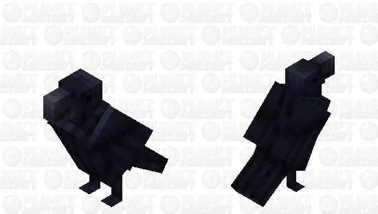 Bewitchedx32 - Parrot (crow) Minecraft Mob Skin