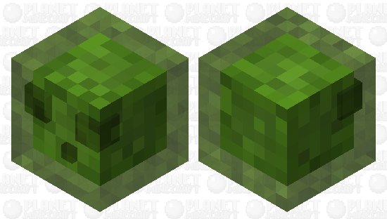 Slime Green Minecraft Mob Skin