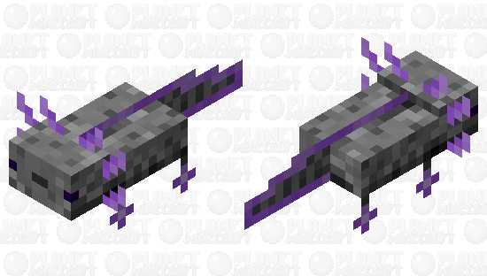 End axlotl Minecraft Mob Skin