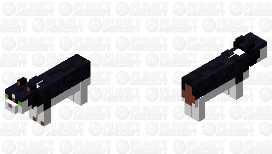 Ruby (my cat) Minecraft Mob Skin
