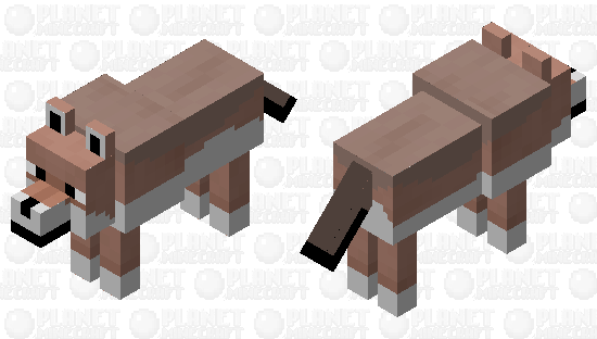 Coyote Minecraft Mob Skin