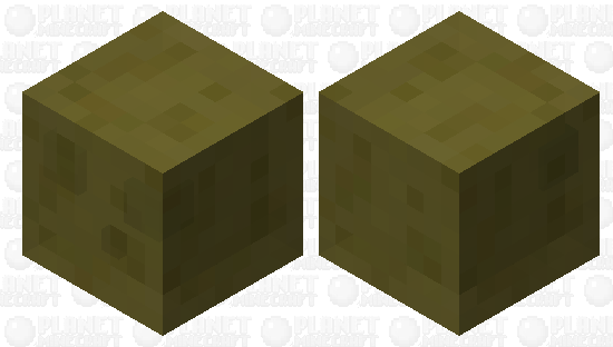 poop Minecraft Mob Skin