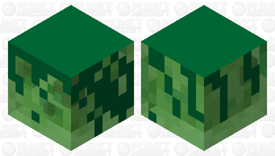 Swamp Slime In The Swap Swamp Slime Marine Grass Minecraft Mob Skin