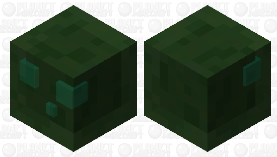 night slime Minecraft Mob Skin
