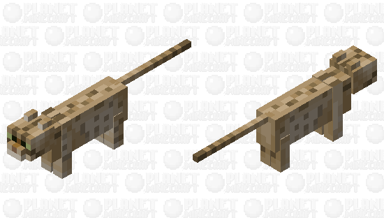 maui (grian's cat) Minecraft Mob Skin