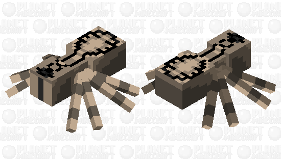 Poecilotheria regalis (Indian ornamental tarantula) Minecraft Mob Skin