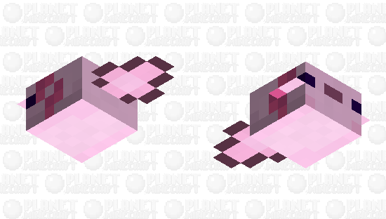 Pufferlotl (Pink) Stage 1 Minecraft Mob Skin