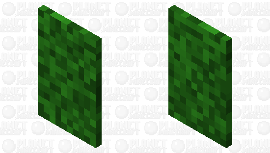 Cape for Forest Boy Minecraft Mob Skin