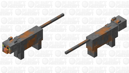 Neeko, realistic cat Minecraft Mob Skin