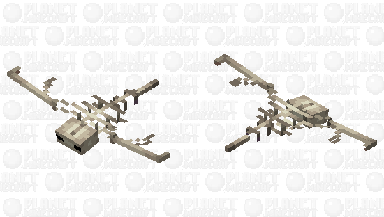 skeleton phantom Minecraft Mob Skin