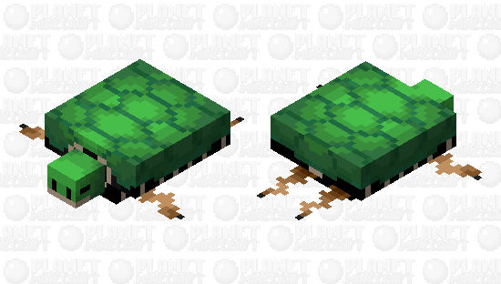 Turtle corpse Minecraft Mob Skin