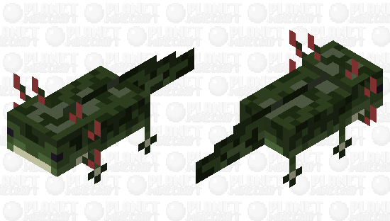 Kona the Axolotl Minecraft Mob Skin