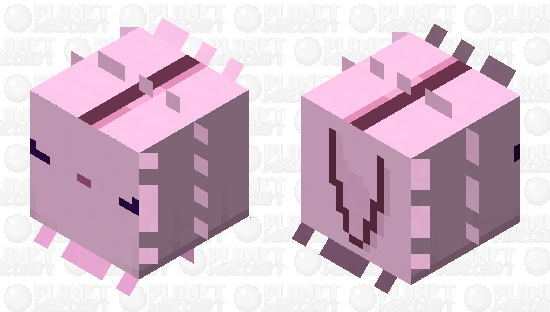 Pink Pufferlotl (Stage 3) Minecraft Mob Skin