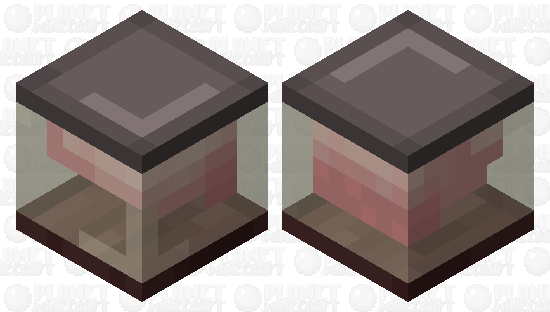 brain in a jar Minecraft Mob Skin