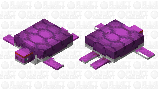 Purple Turtle Minecraft Mob Skin