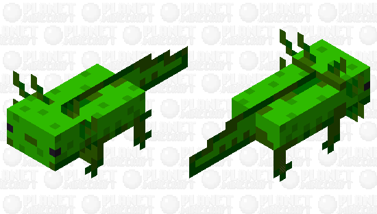 Dark Green Axolotl Minecraft Mob Skin