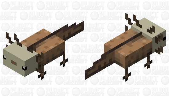 Skull axolotl Minecraft Mob Skin