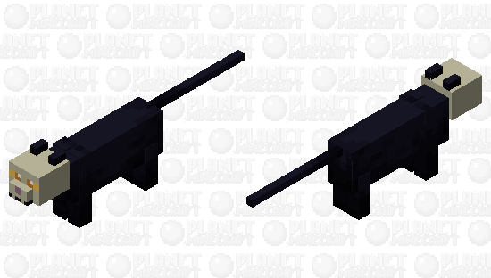 Skull cat Minecraft Mob Skin