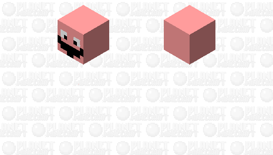 Wash Up Minecraft Mob Skin