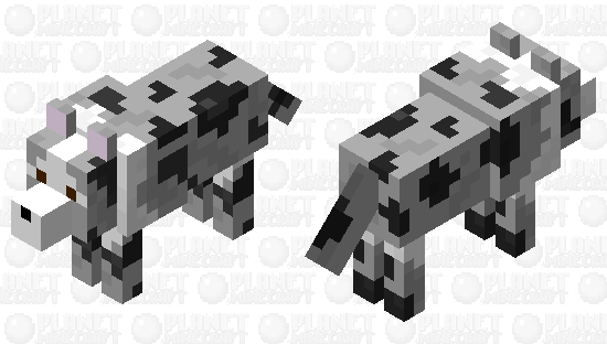 Border Collie Blue Merle ( 2 ) ( please read the credits ) Minecraft ...