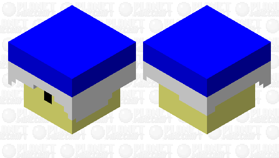 Blue Shell Minecraft Mob Skin