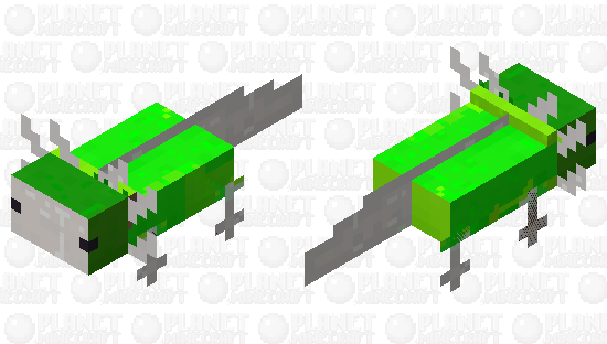 DREAM AXLOTOL Minecraft Mob Skin