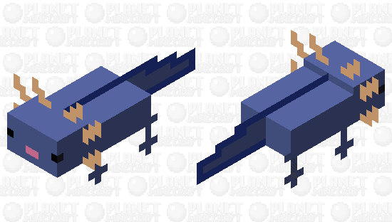 blue axlotl (normaly rare) 1/1200 chance of spawning Minecraft Mob Skin