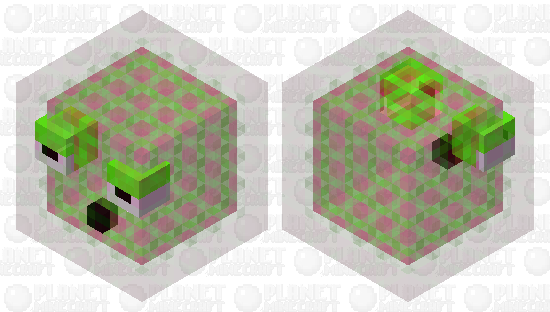 Slime from Scottland Minecraft Mob Skin